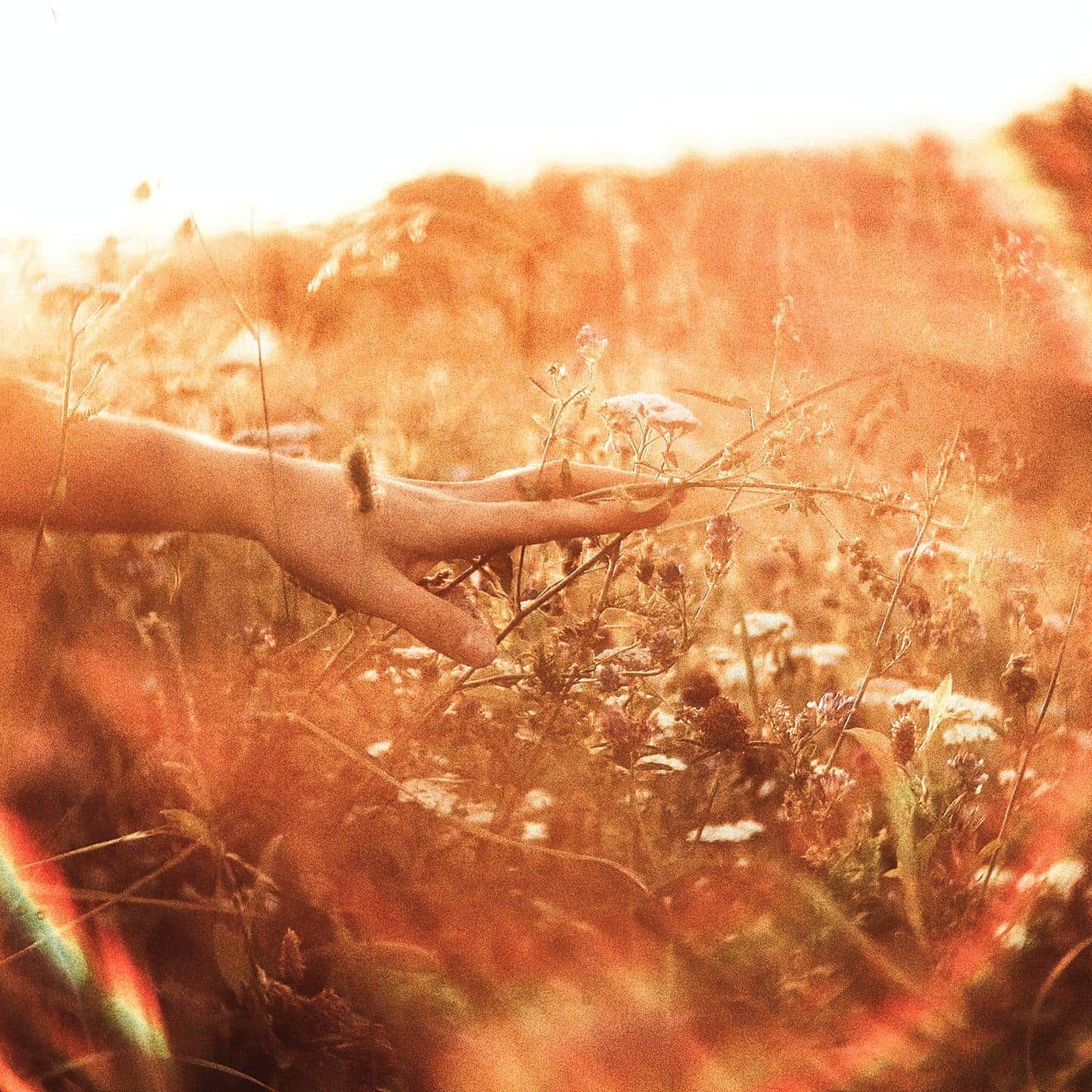 How to know your dominant zodiac sign 60 photos - Youhoroscope.com