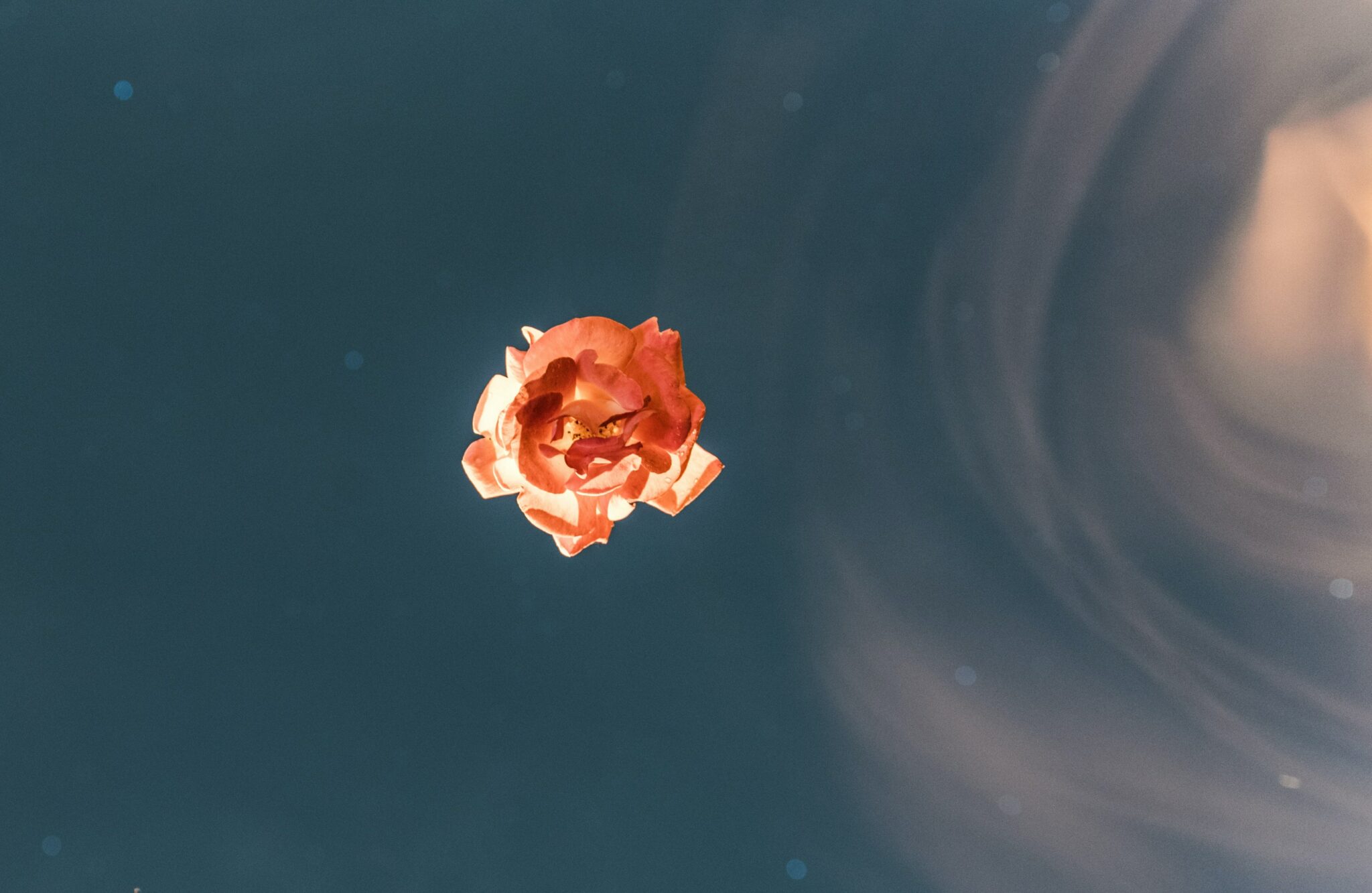 North Node Aries: Understanding the Spiritual Warrior – Girl and Her Moon