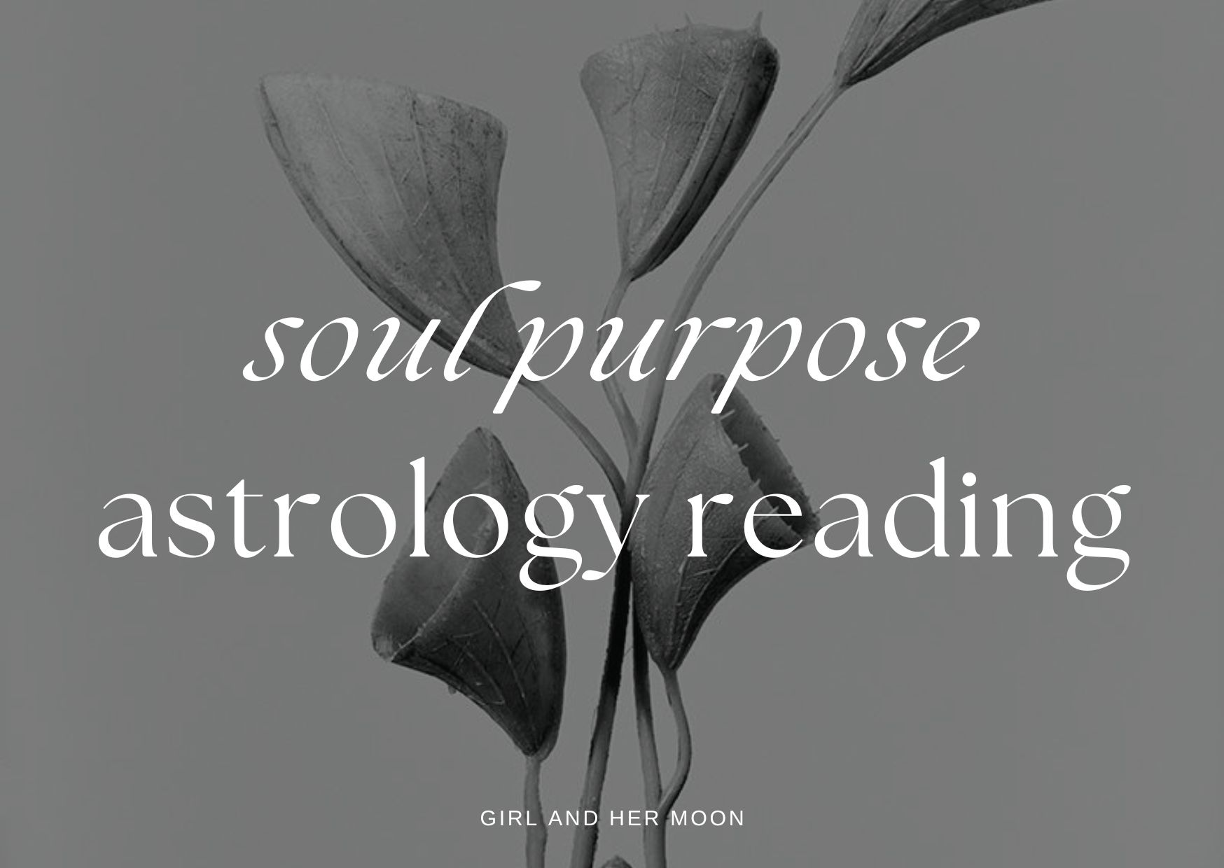 10 Things to Know About Aries Rising - Soulful Astrology – Girl and Her ...