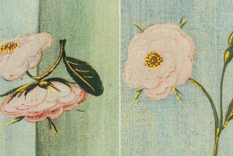 Venus Planetary Aspects: Natal & Transit Astrology – Girl and Her Moon